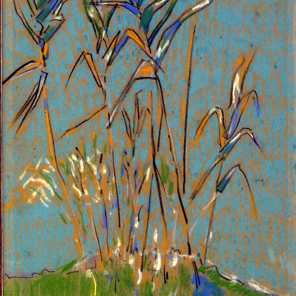 Fauvisme - Otto van Rees